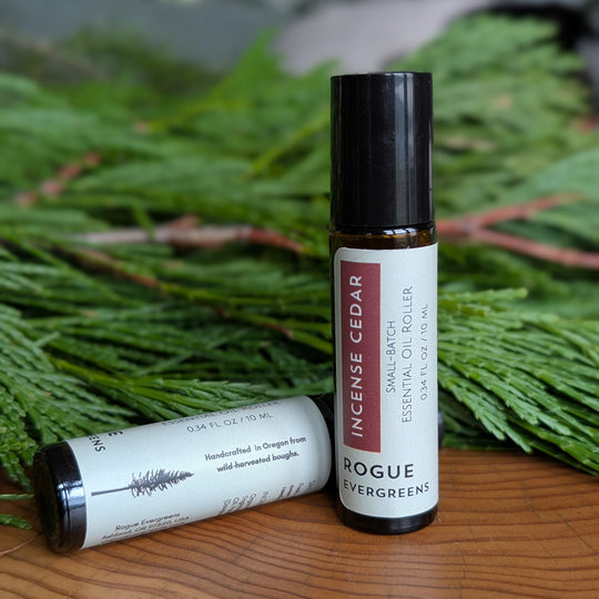 Incense Cedar Collection | Rogue Evergreens